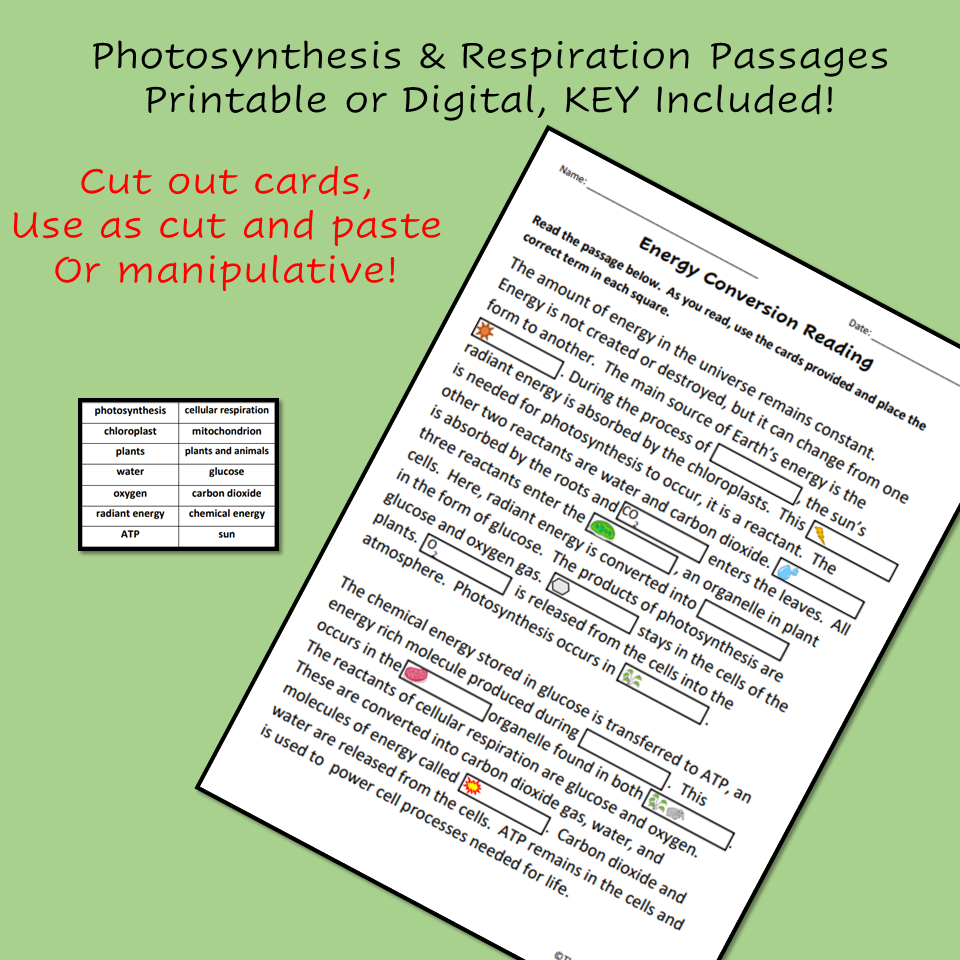 ESL Biology Photosynthesis and Cellular Respiration Reading Passage ...