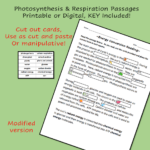 ESL Biology Photosynthesis and Cellular Respiration Reading Passage ...
