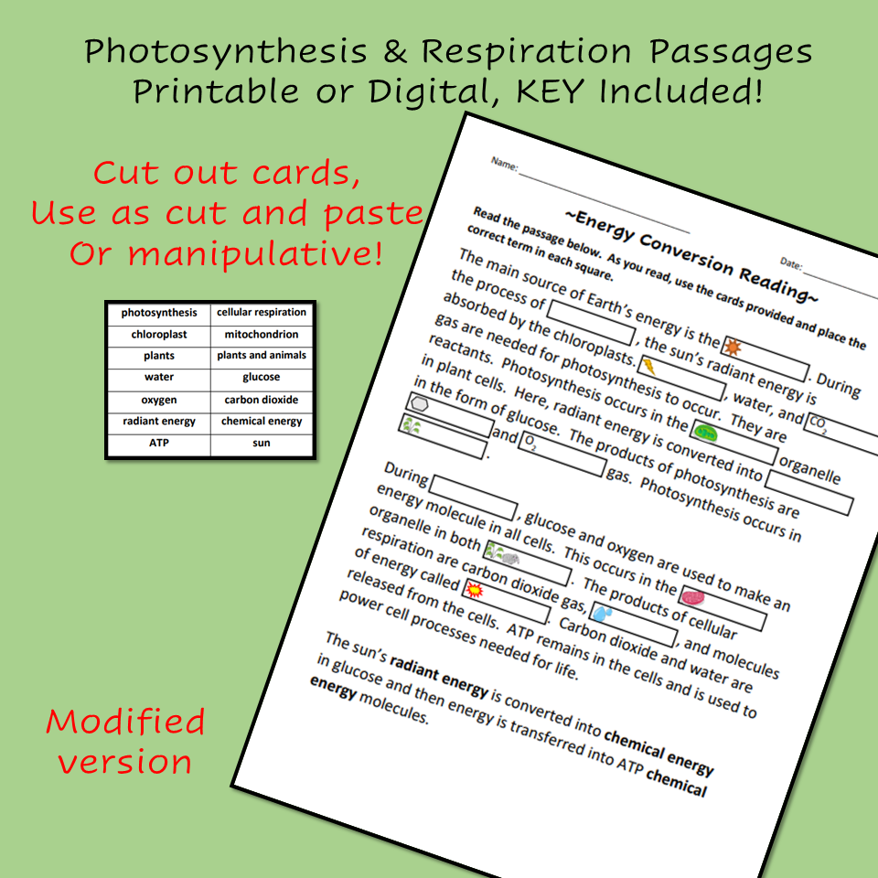ESL Biology Photosynthesis and Cellular Respiration Reading Passage ...
