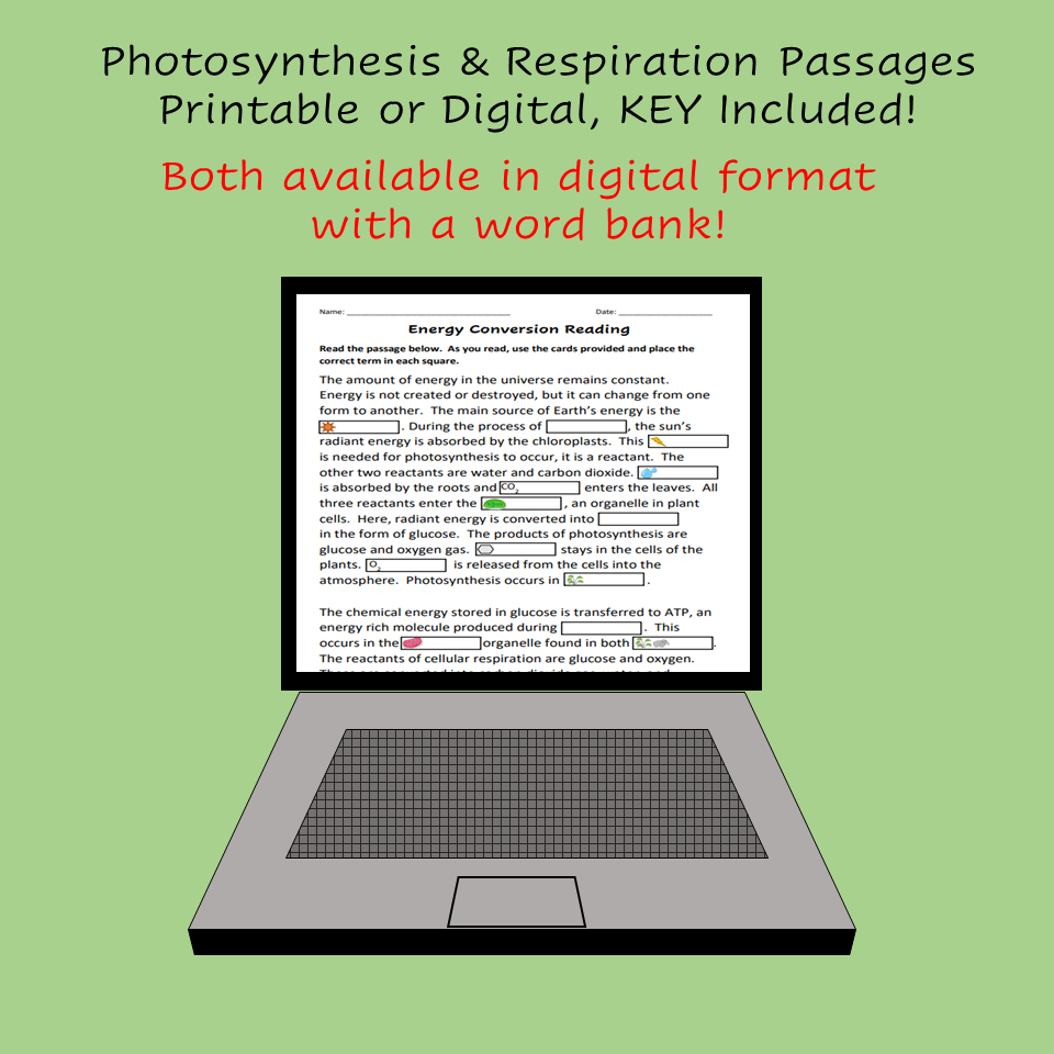 ESL Biology Photosynthesis and Cellular Respiration Reading Passage ...