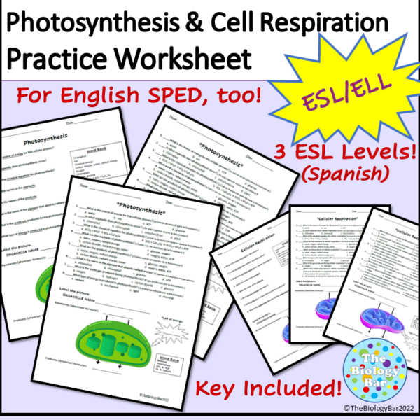 ESL Biology Photosynthesis and Cellular Respiration Compare worksheet ...