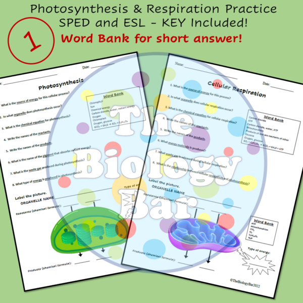 ESL Biology Photosynthesis and Cellular Respiration Compare worksheet ...