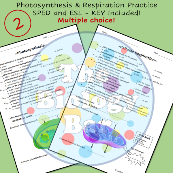 ESL Biology Photosynthesis and Cellular Respiration Compare worksheet ...