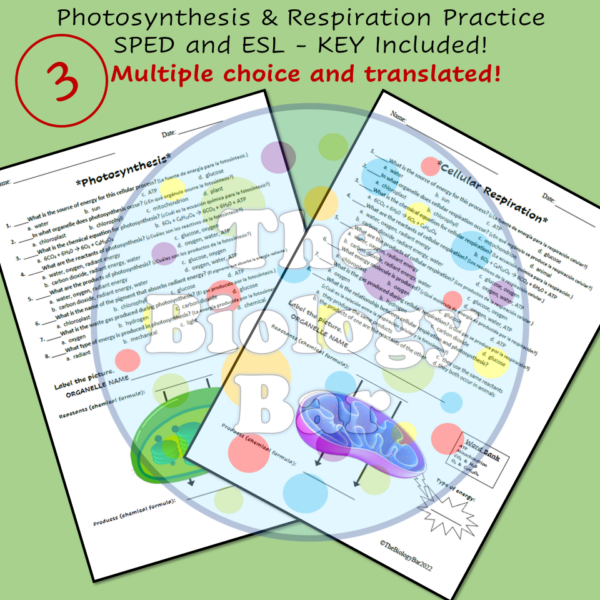 ESL Biology Photosynthesis and Cellular Respiration Compare worksheet ...
