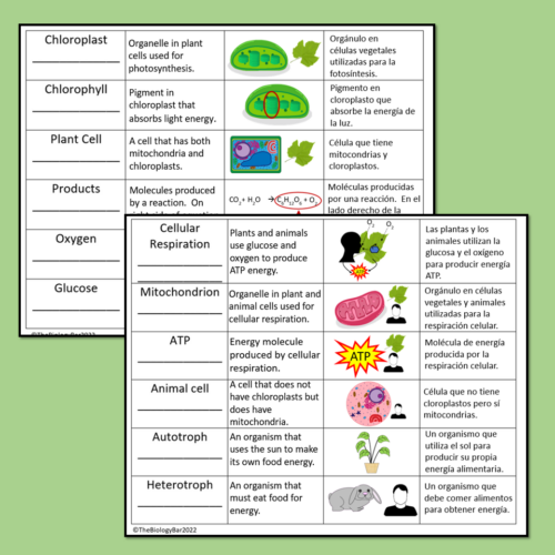 ESL Biology Photosynthesis and Cellular Respiration Vocabulary Notes ...