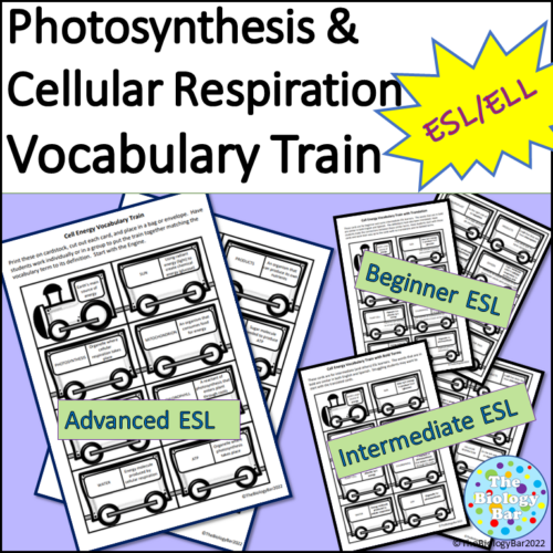 ESL Biology Photosynthesis and Cellular Respiration Vocabulary Train ...
