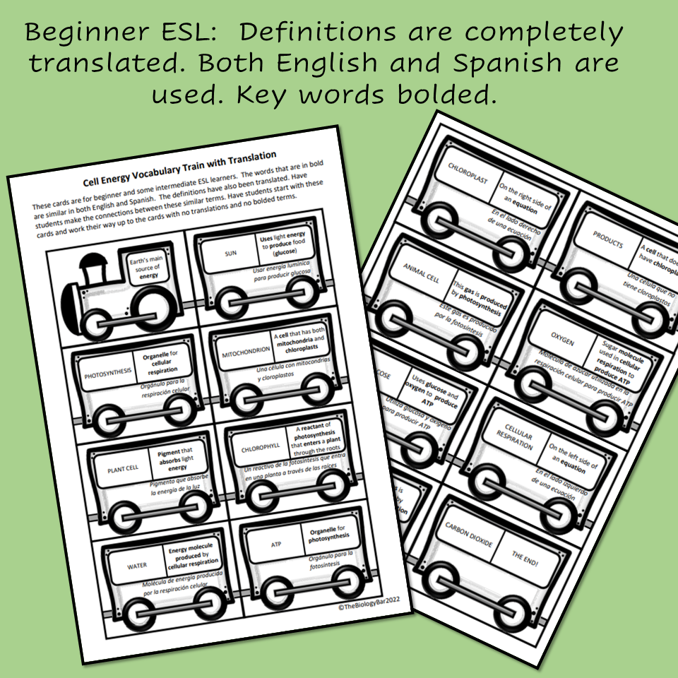 ESL Biology Photosynthesis and Cellular Respiration Vocabulary Train ...