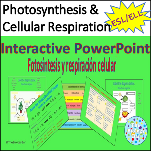 ESL Biology Photosynthesis and Cellular Respiration Interactive ...