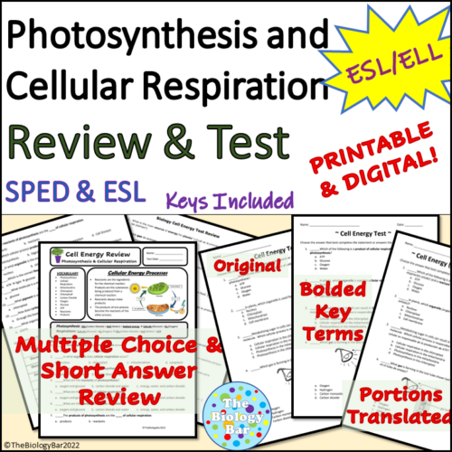 Cellular Respiration Worksheet Multiple Choice