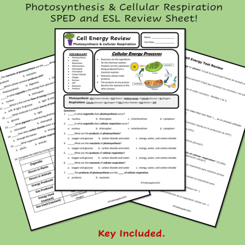 ESL Biology Photosynthesis and Cellular Respiration Review and Test ...