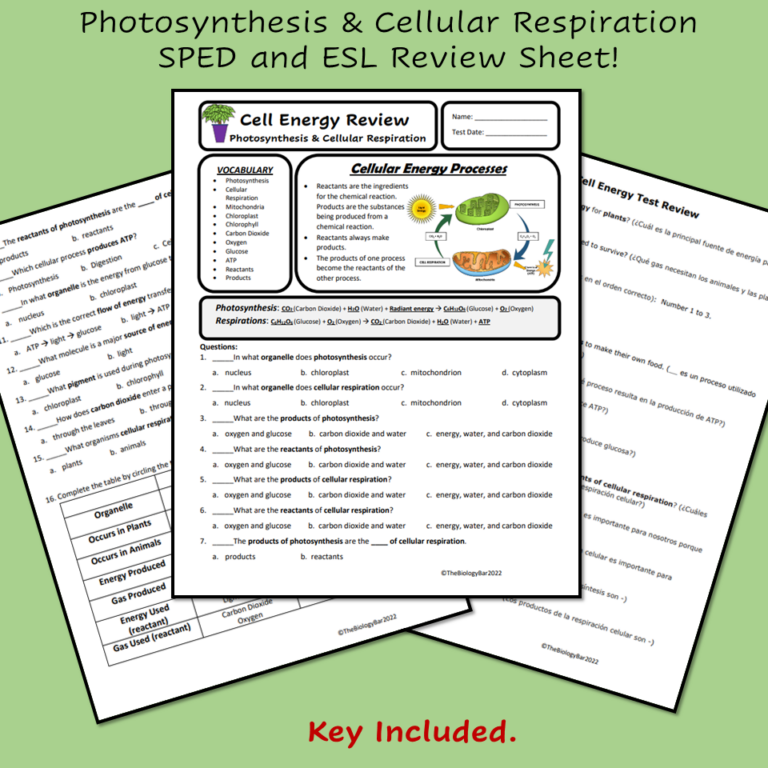 ESL Biology Photosynthesis and Cellular Respiration Review and Test ...
