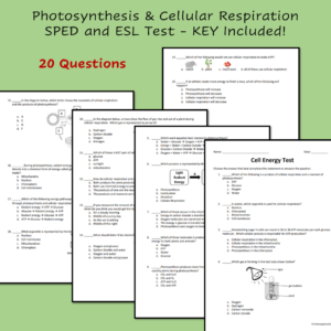 ESL Biology Photosynthesis and Cellular Respiration Review and Test ...