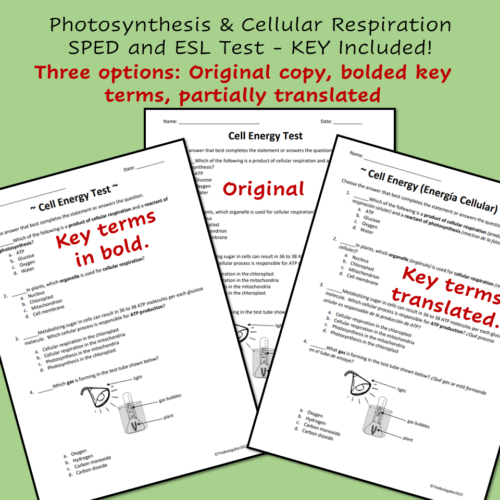ESL Biology Photosynthesis and Cellular Respiration Review and Test ...