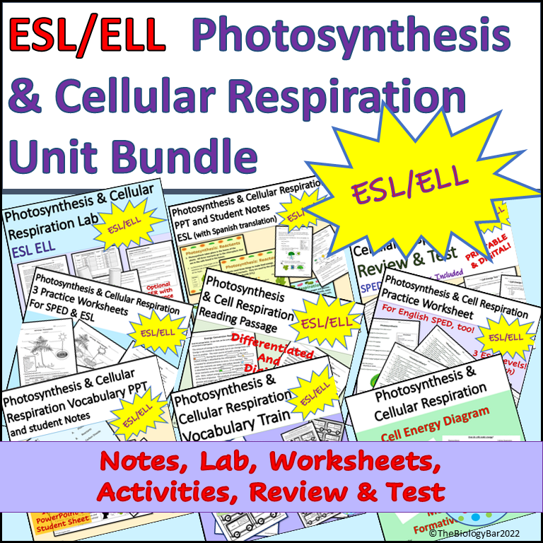 ESL Biology Photosynthesis and Cellular Respiration Unit Bundle | Made ...