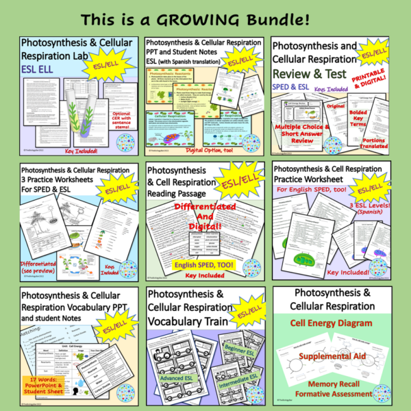 ESL Biology Photosynthesis and Cellular Respiration Unit Bundle | Made ...