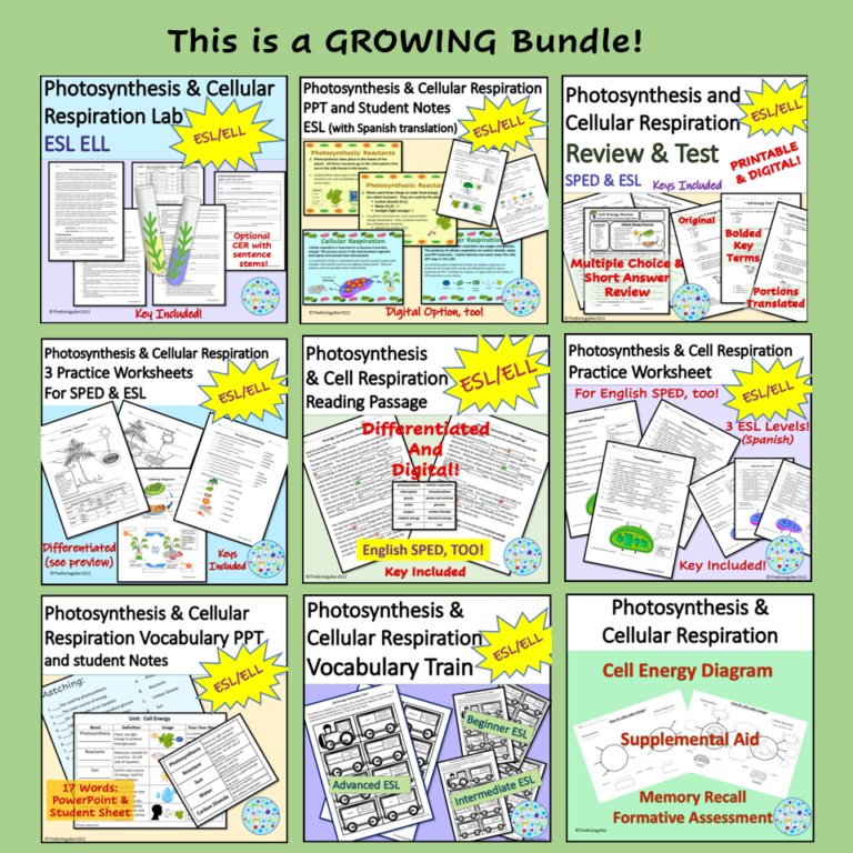 ESL Biology Photosynthesis and Cellular Respiration Unit Bundle | Made ...