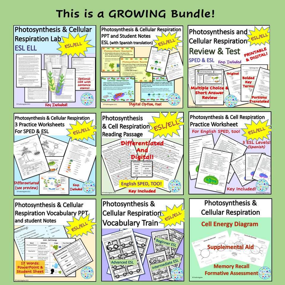 ESL Biology Photosynthesis and Cellular Respiration Unit Bundle | Made ...