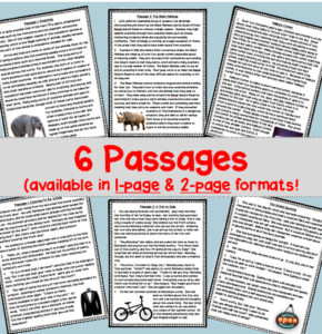 5th Grade ELA Practice State Test #3 | Made By Teachers