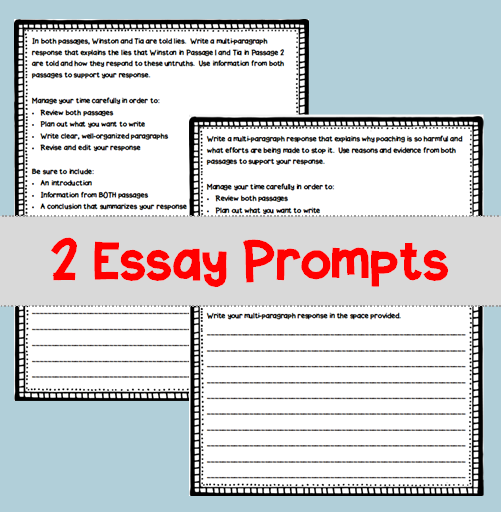 5th Grade ELA Practice State Test #3 | Made By Teachers