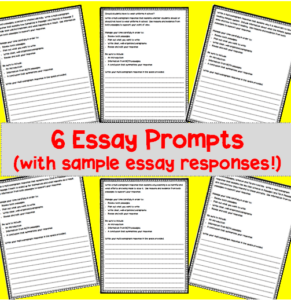 5th Grade ELA Practice State Test BUNDLE: State Test Prep | Made By ...