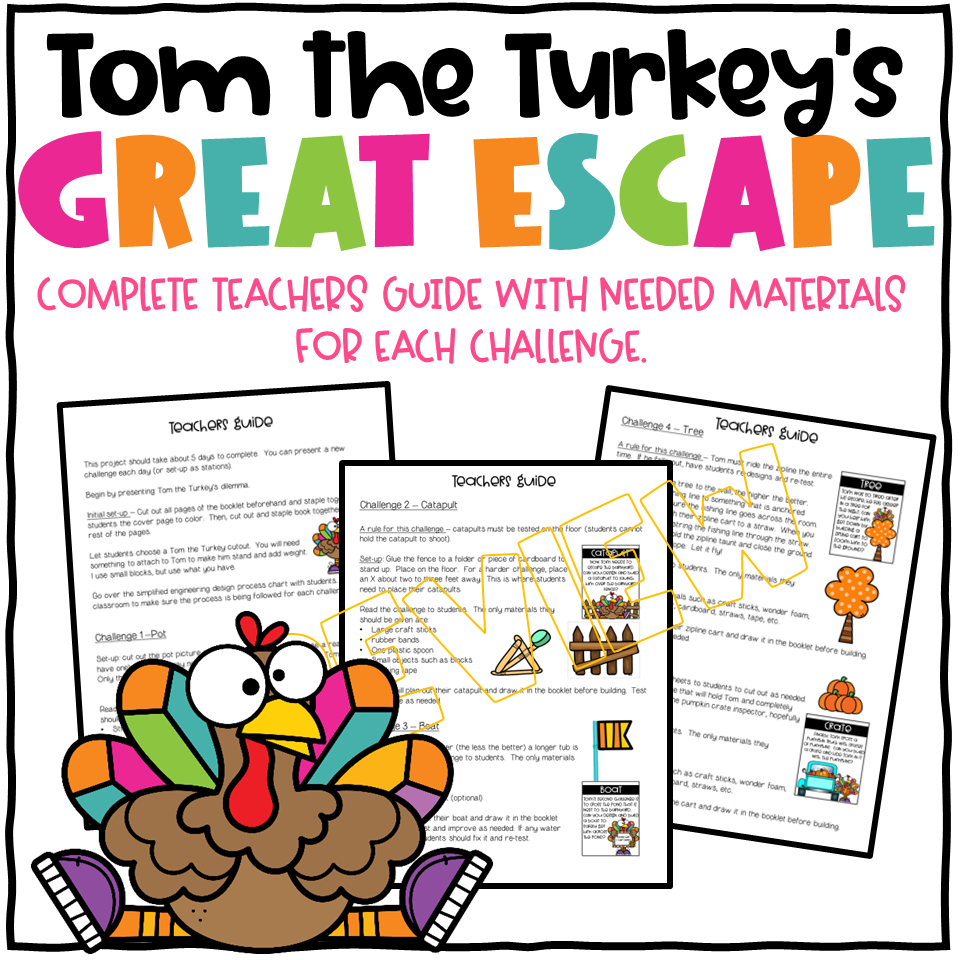 Tom the Turkey's Great Escape | Made By Teachers