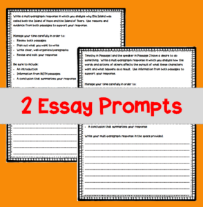 6th Grade ELA Practice State Test #1 | Made By Teachers