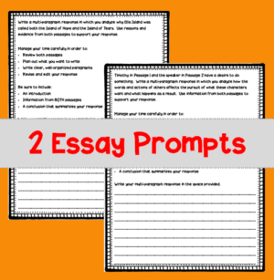 6th Grade ELA Practice State Test #1 | Made By Teachers