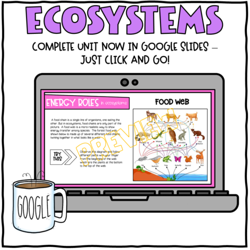 Ecosystems Complete Unit - Made By Teachers