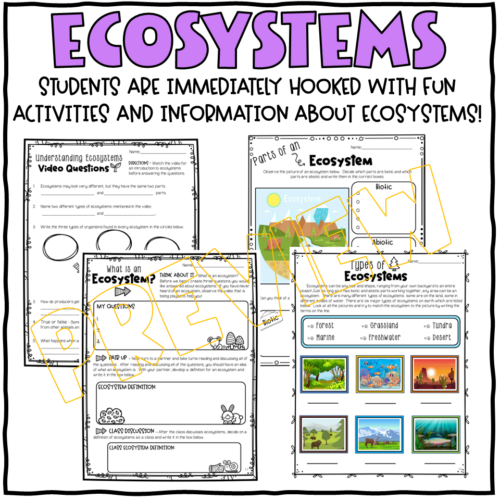 Ecosystems Complete Unit | Made By Teachers