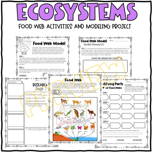 Ecosystems Complete Unit | Made By Teachers