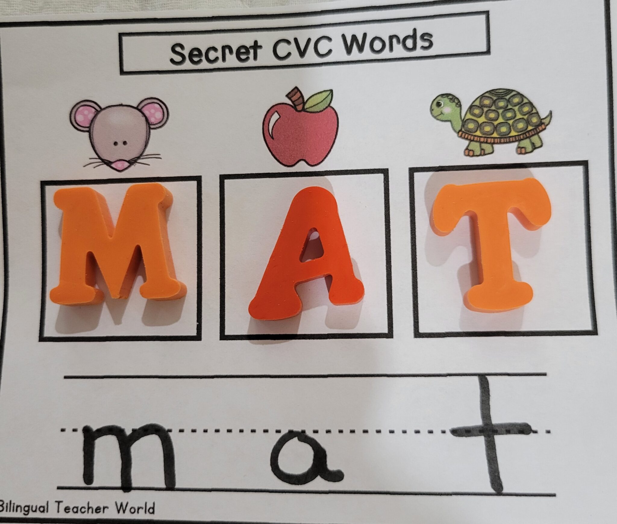 Secret CVC Words Task Cards | Made By Teachers