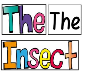 The Insect Song {Pocket Chart Song} | Made By Teachers