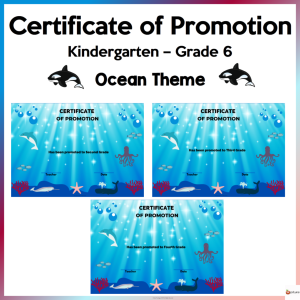 Editable Student Awards Certificate of Promotion Ocean Theme - Made By ...