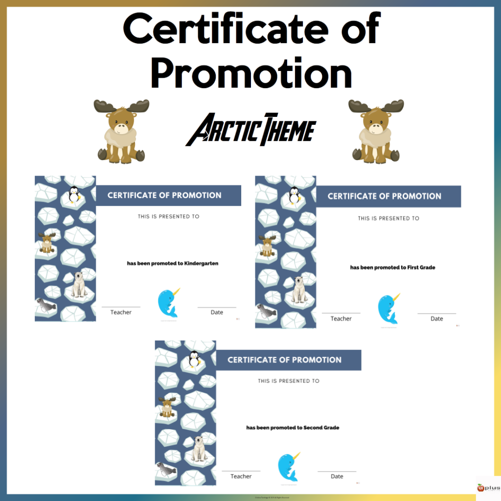 End of Year Awards, Certificate of Completion and Certificate of ...