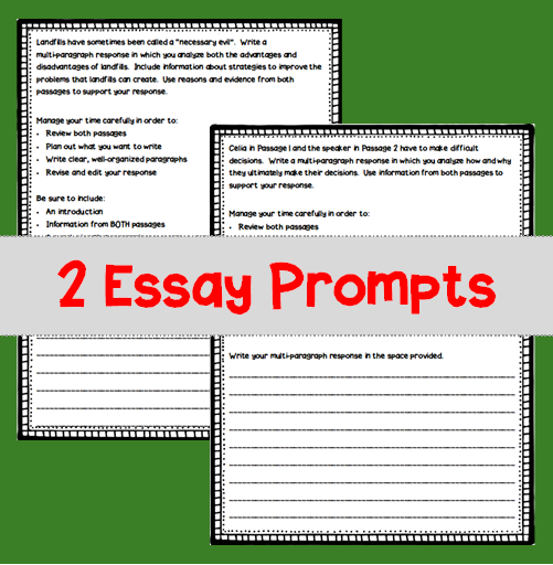 6th Grade ELA Practice State Test #2 | Made By Teachers