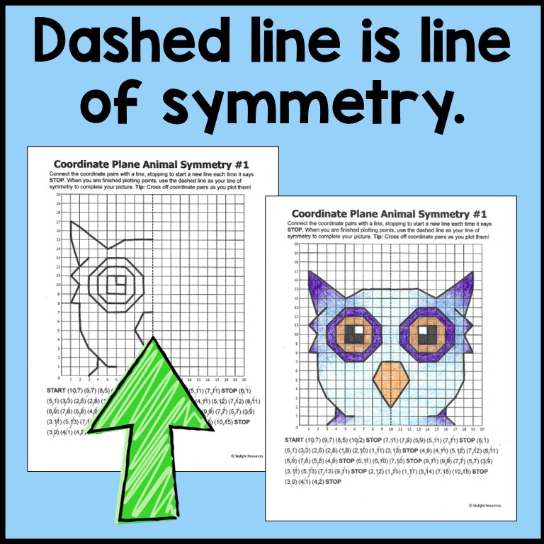 Animal Symmetry Coordinate Plane Mystery Picture Graphing Activity ...
