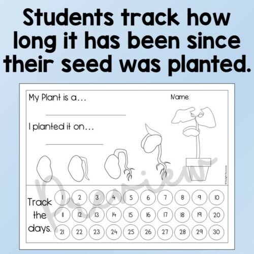 Activities for Growing Lima Beans | A Chart to Track the Days | Made By ...