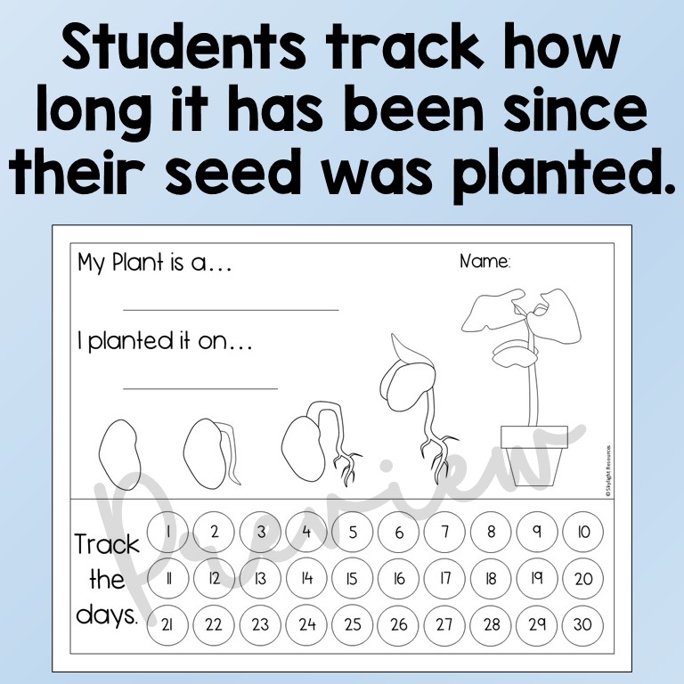 Activities for Growing Lima Beans | A Chart to Track the Days | Made By ...