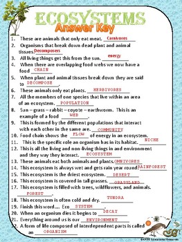 Ecosystems Work For it Word Search - Made By Teachers