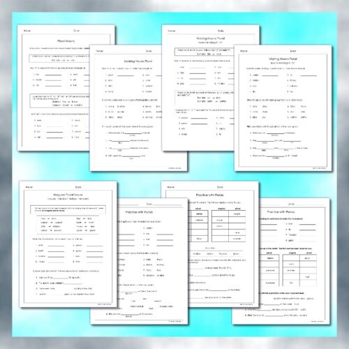 Plural Nouns - Regular & Irregular - 8 worksheets - Grades 2-3 - CCSS ...
