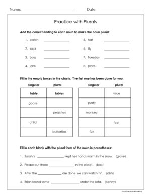 Plural Nouns - Regular & Irregular - 8 worksheets - Grades 2-3 - CCSS ...