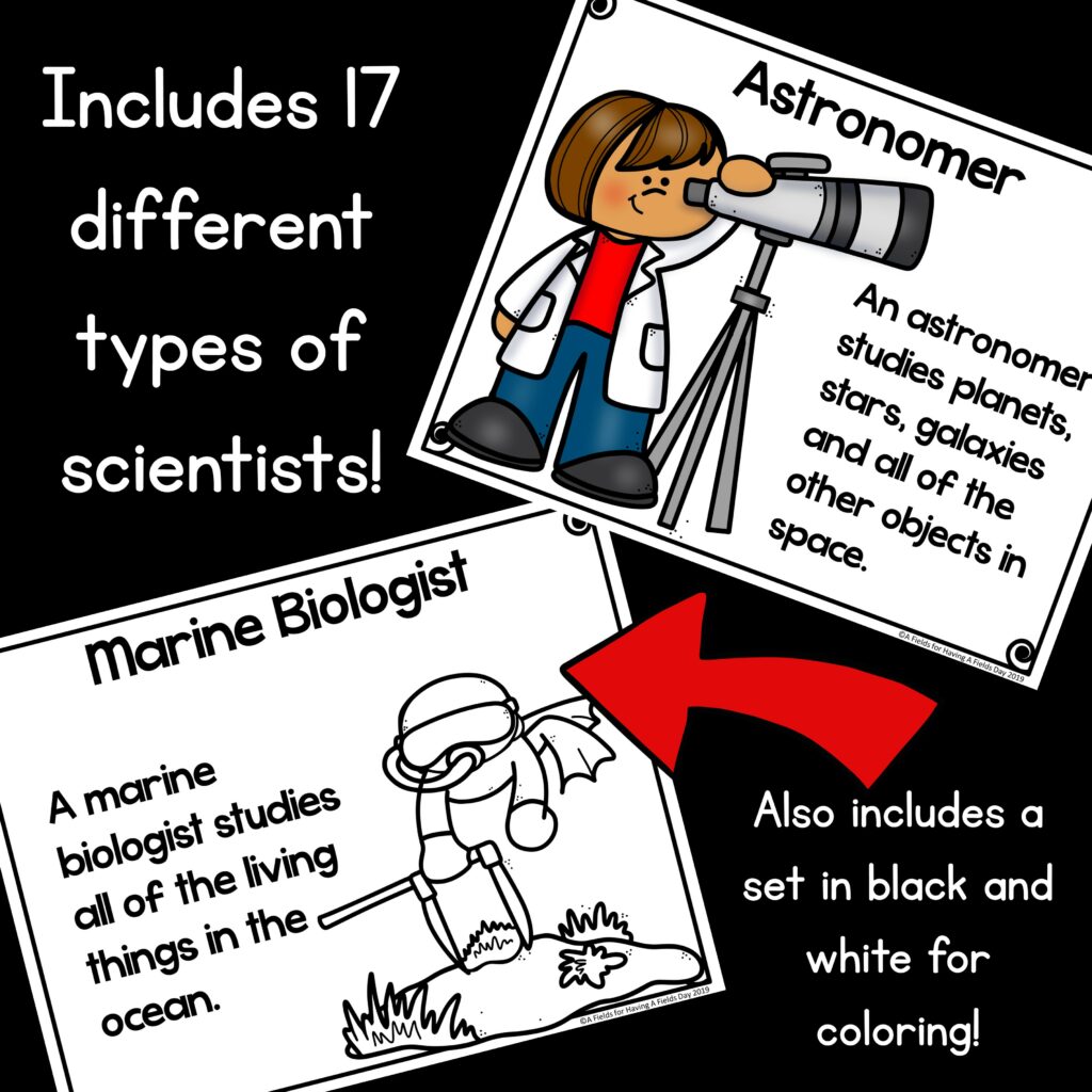 Types of Scientists Mini Posters | Made By Teachers