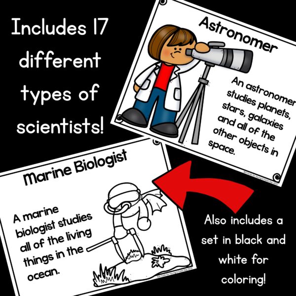 Types of Scientists Mini Posters | Made By Teachers