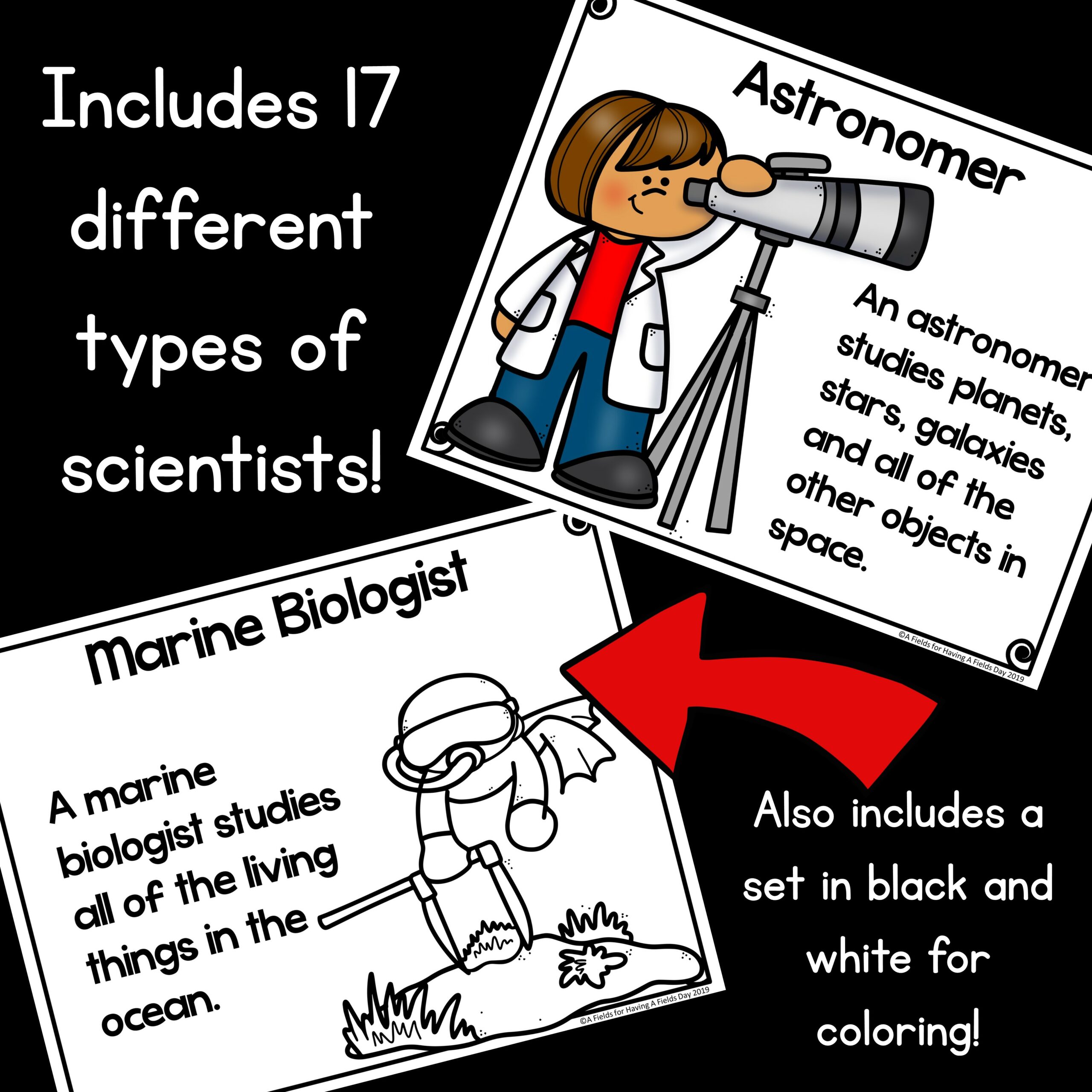 Types of Scientists Mini Posters | Made By Teachers