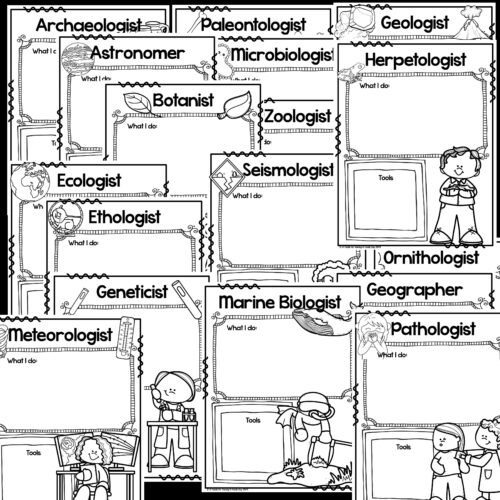 Types of Scientists Graphic Organizer | Made By Teachers