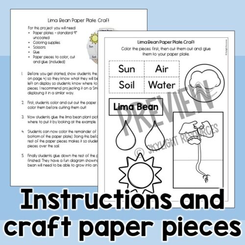 Lima Bean Paper Plate Craft Activity | What My Plant Needs to Grow ...