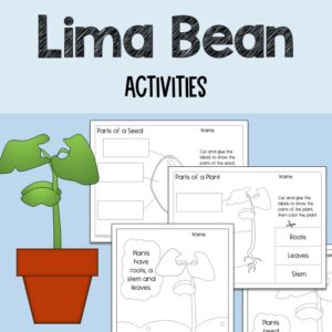 Lima Bean Plant Activities | Coloring and Cut and Glue Labeling | Made ...