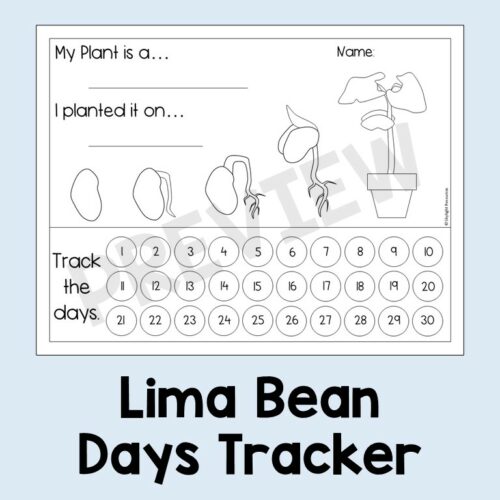 Lima Bean BUNDLE Fun Activities While Growing Lima Bean Plants | Made ...