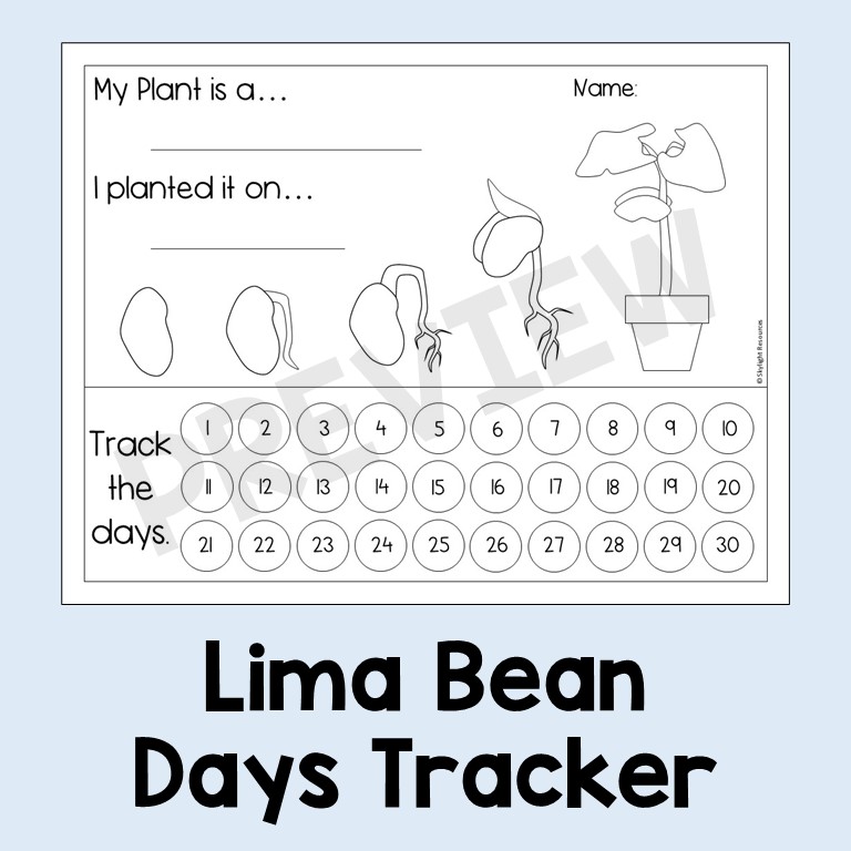 Lima Bean BUNDLE Fun Activities While Growing Lima Bean Plants | Made ...