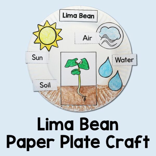 Lima Bean BUNDLE Fun Activities While Growing Lima Bean Plants | Made ...